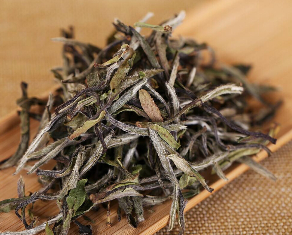 Instant White Tea powder - Instant Tea Powder - 赣州华汉生物科技有限公司